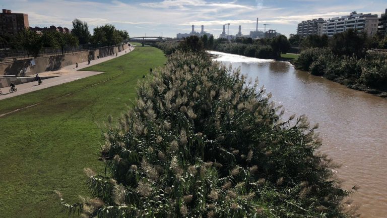 El riu Besòs es continuarà renaturalitzant amb la creació d'un refugi ...