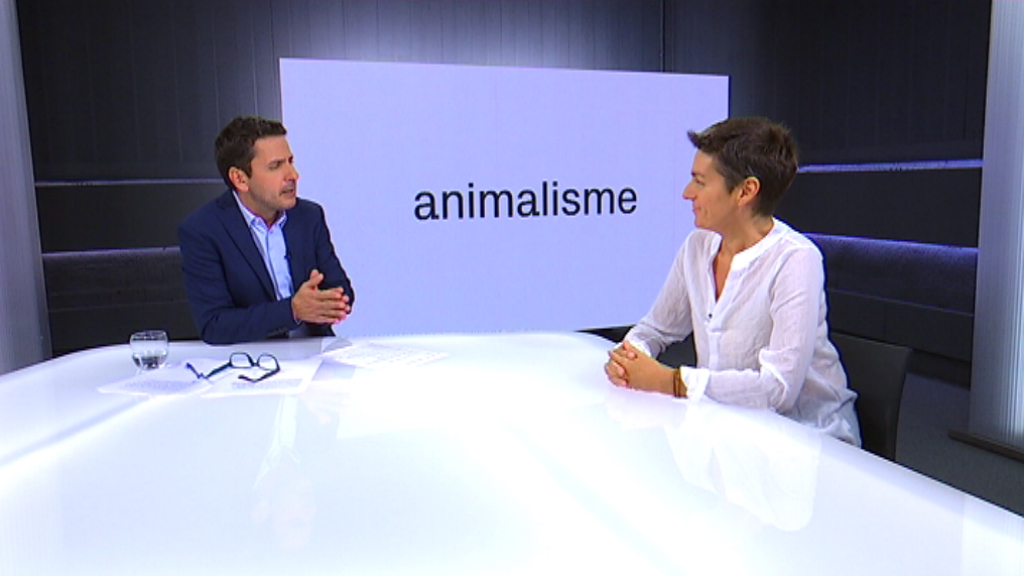 "L''animalisme' és un concepte inventat pels mitjans de comunicació ...