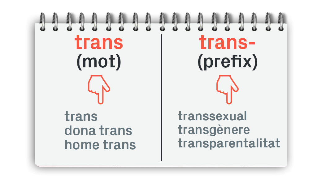El prefix "trans-", gran creador de mots del món LGTBI | betevé