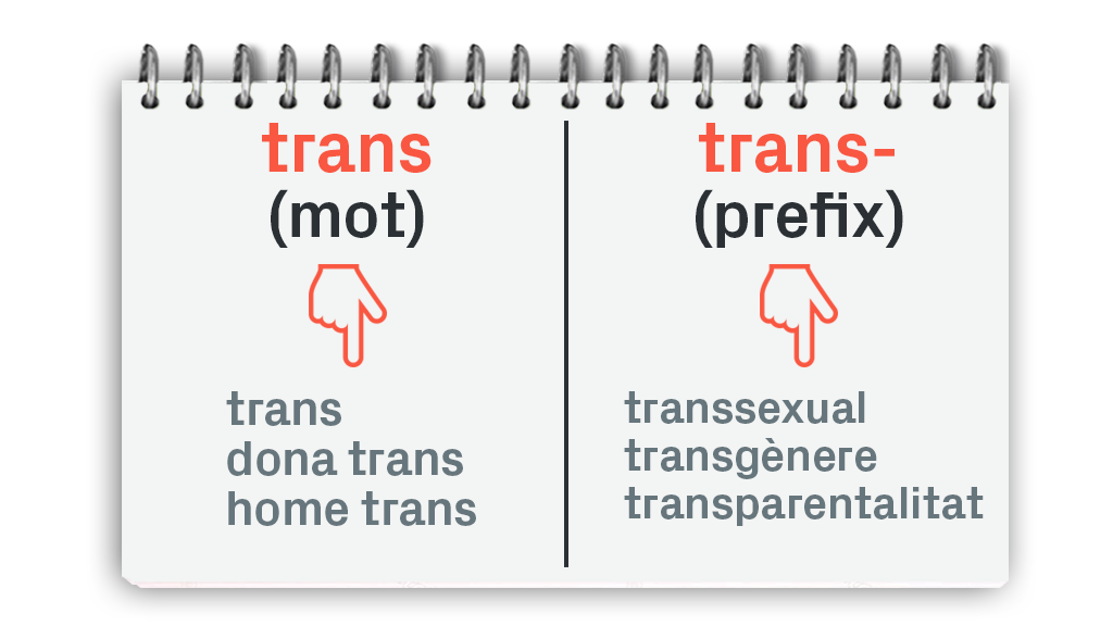 El prefix "trans-", gran creador de mots del món LGTBI | betevé