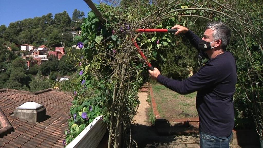 Els barris de muntanya, sense contenidors de brossa vegetal | betevé
