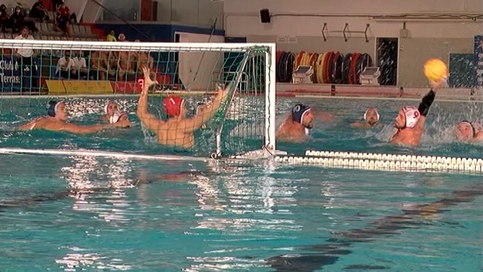 CN Sabadell aparta Ubovic dels entrenaments i partits | betevé