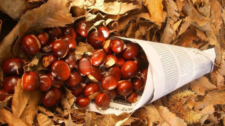 Origen de la Castanyada: Per què mengem panellets i castanyes?