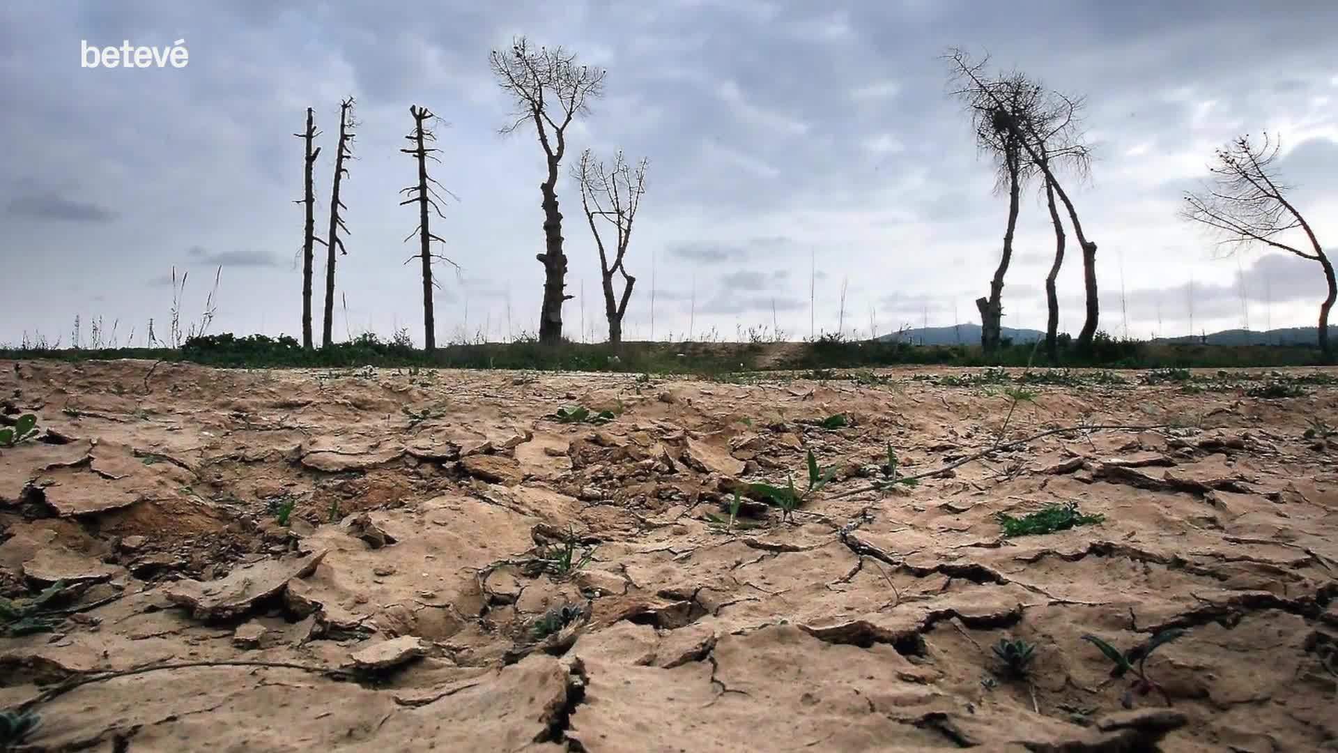 Sequera excepcional: hem de patir pel subministrament d'aigua?