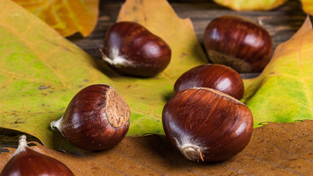 5 beneficis de menjar castanyes per a la teva salut