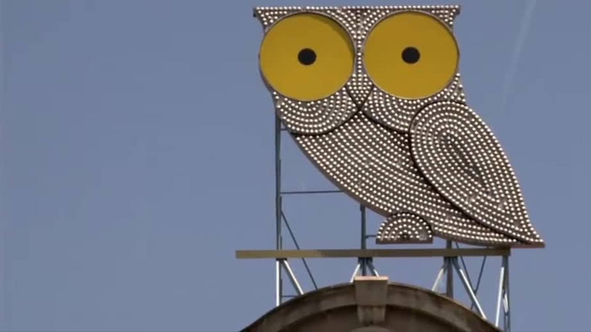 La història del mussol de la Diagonal