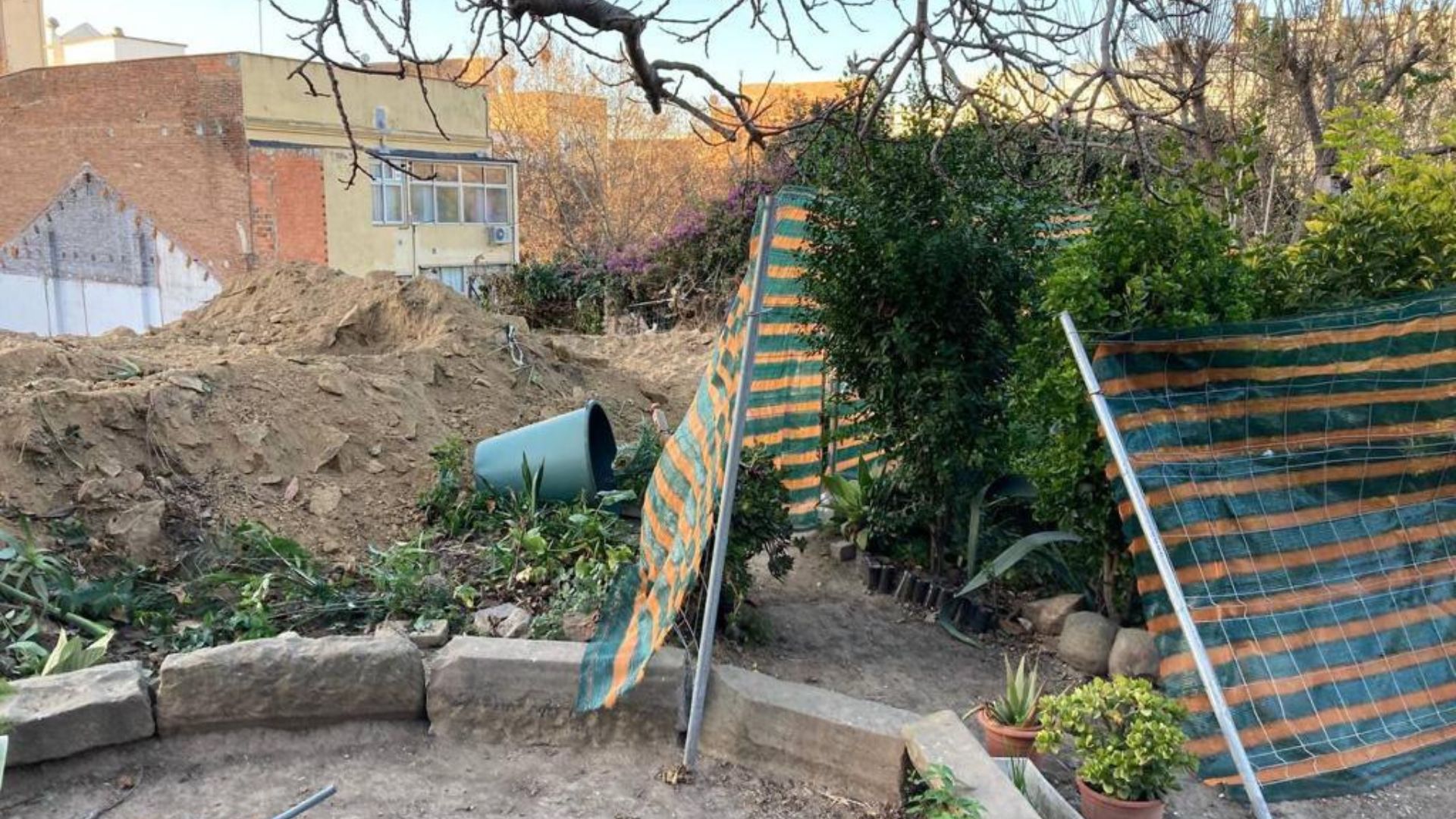 L'Ajuntament veu "ànim especulatiu" en la destrossa de l'Hortsec