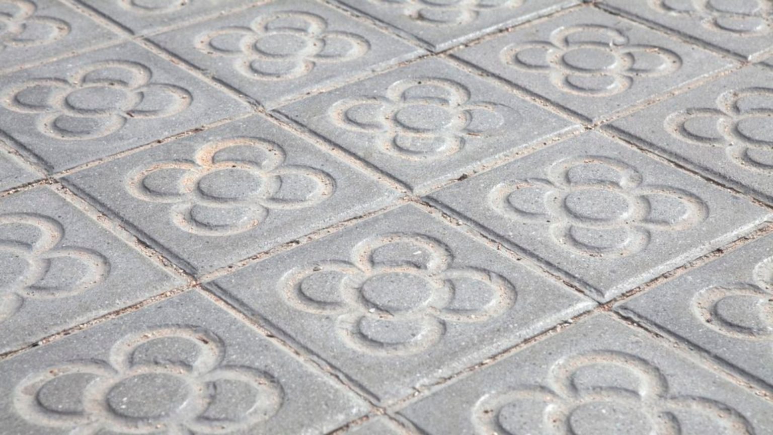 L'Ajuntament vol fer més sostenible el panot de Barcelona