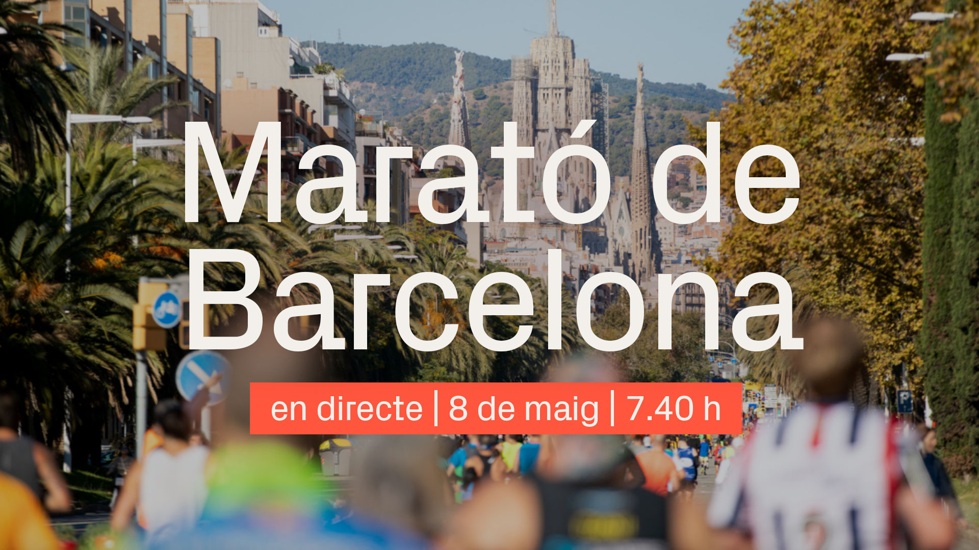 Viu la Zurich Marató de Barcelona 2022, en directe a betevé