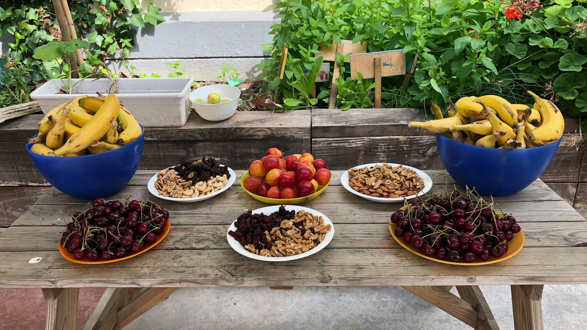 Colau promou amb Gasol el menjar saludable a l'escola