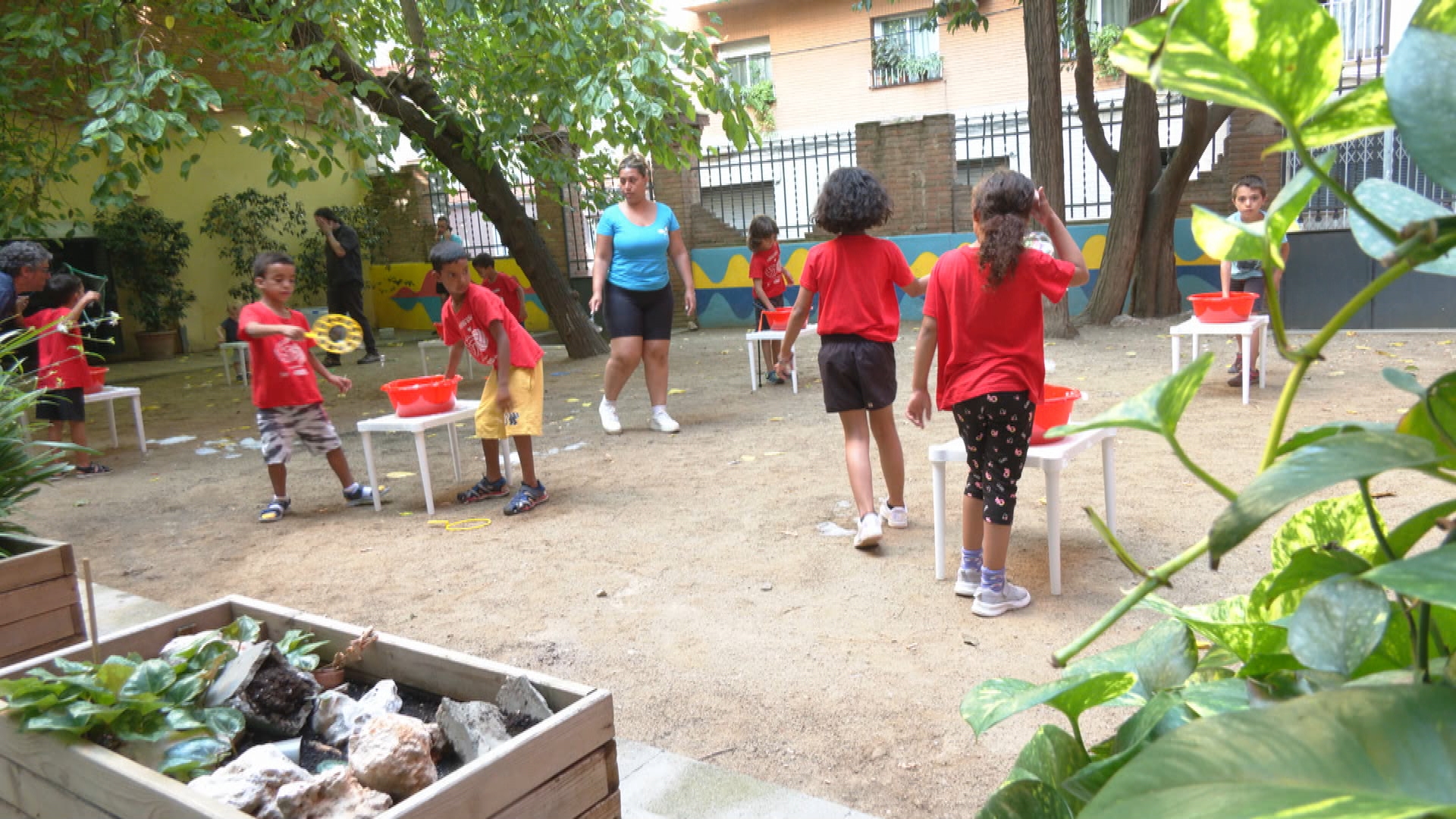 L'acollida d'infants sahrauís es reprèn al 50 %