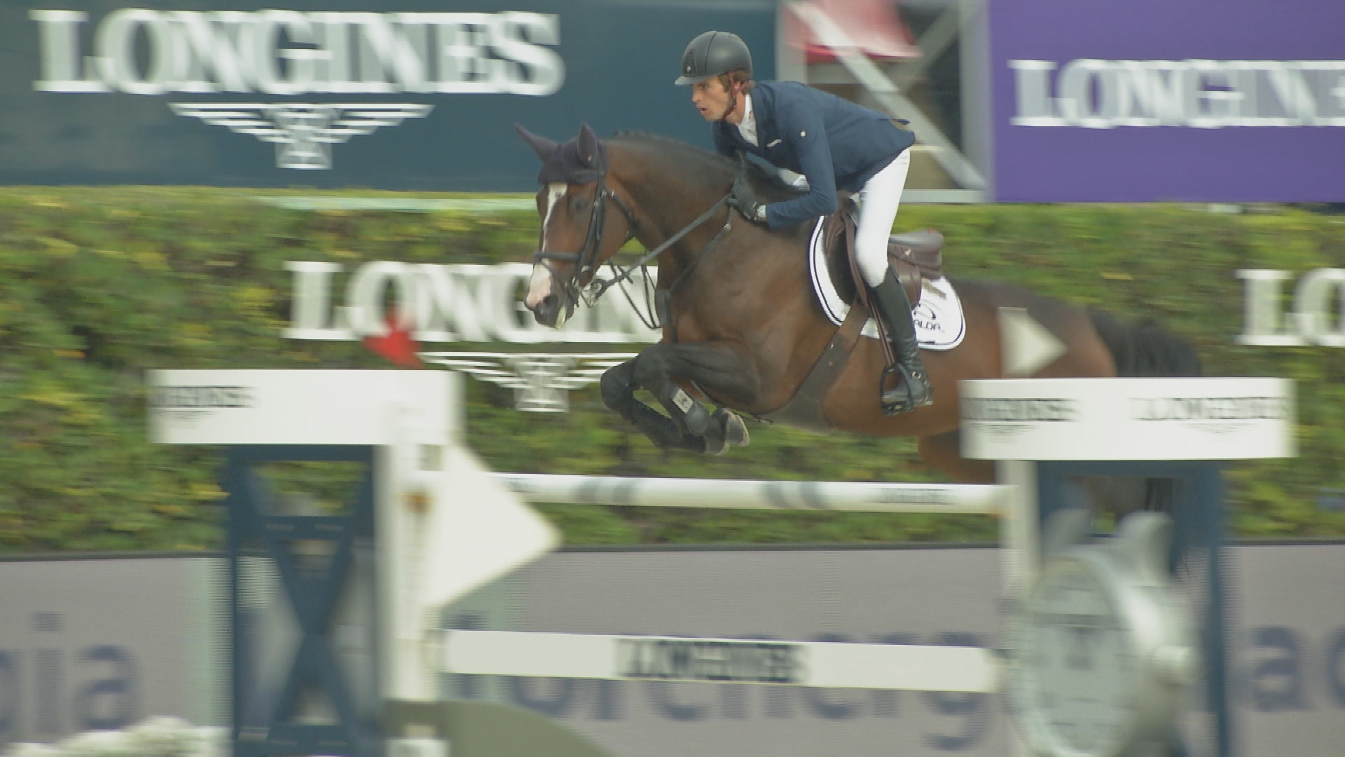 Àlex Codina, el futur de l'hípica catalana