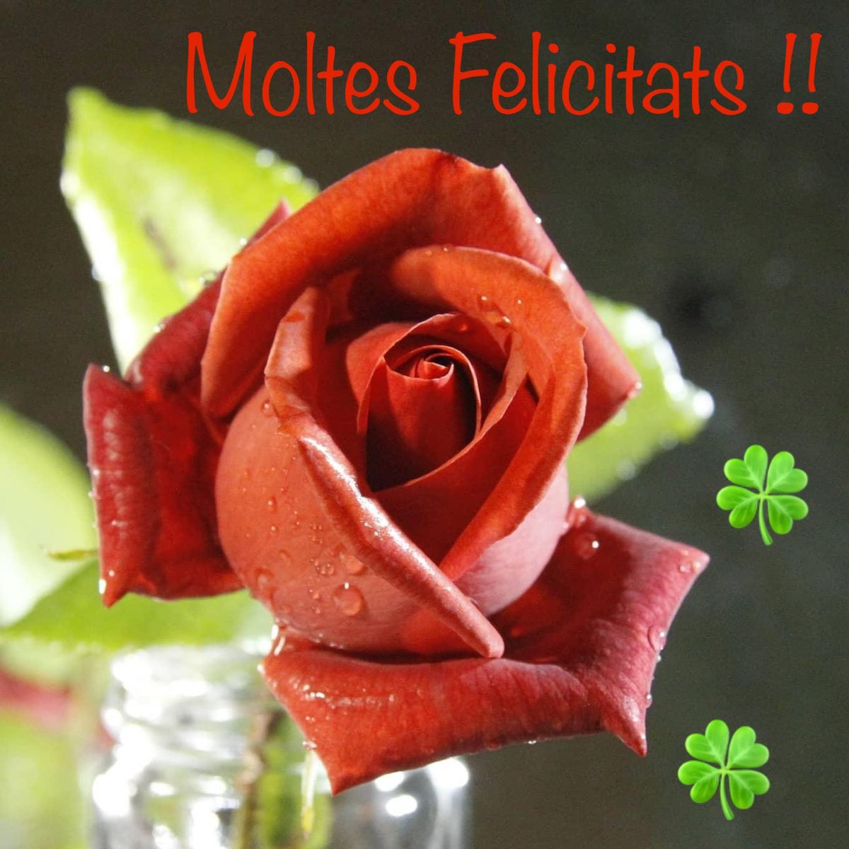Felicitats, Pilar! Desitja un bon dia del Pilar | FOTOS i GIF