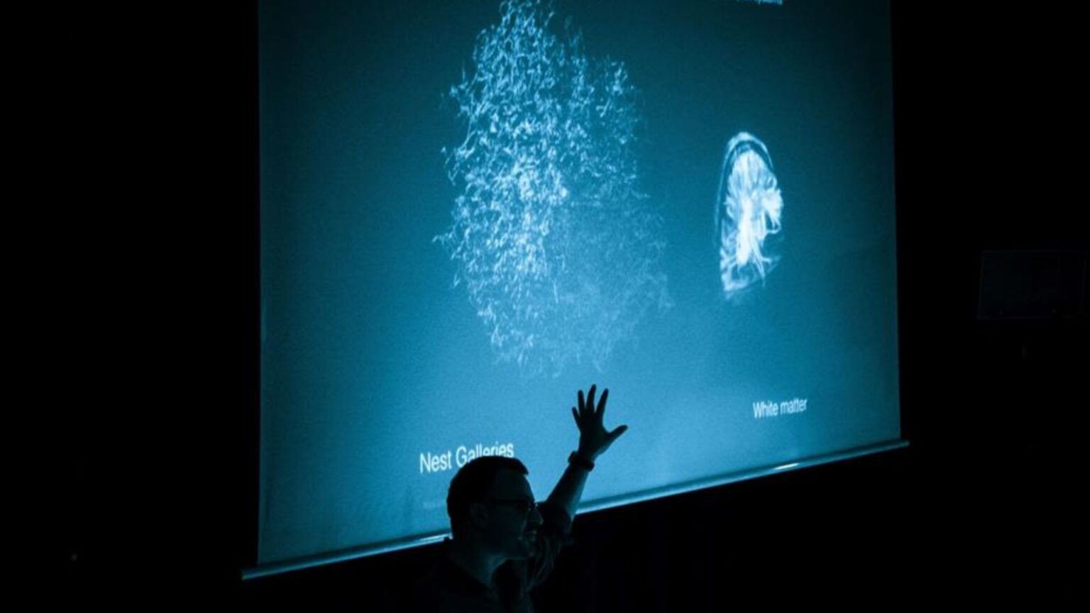 Barcelona i Madrid, seus de la tercera Biennal Ciutat i Ciència