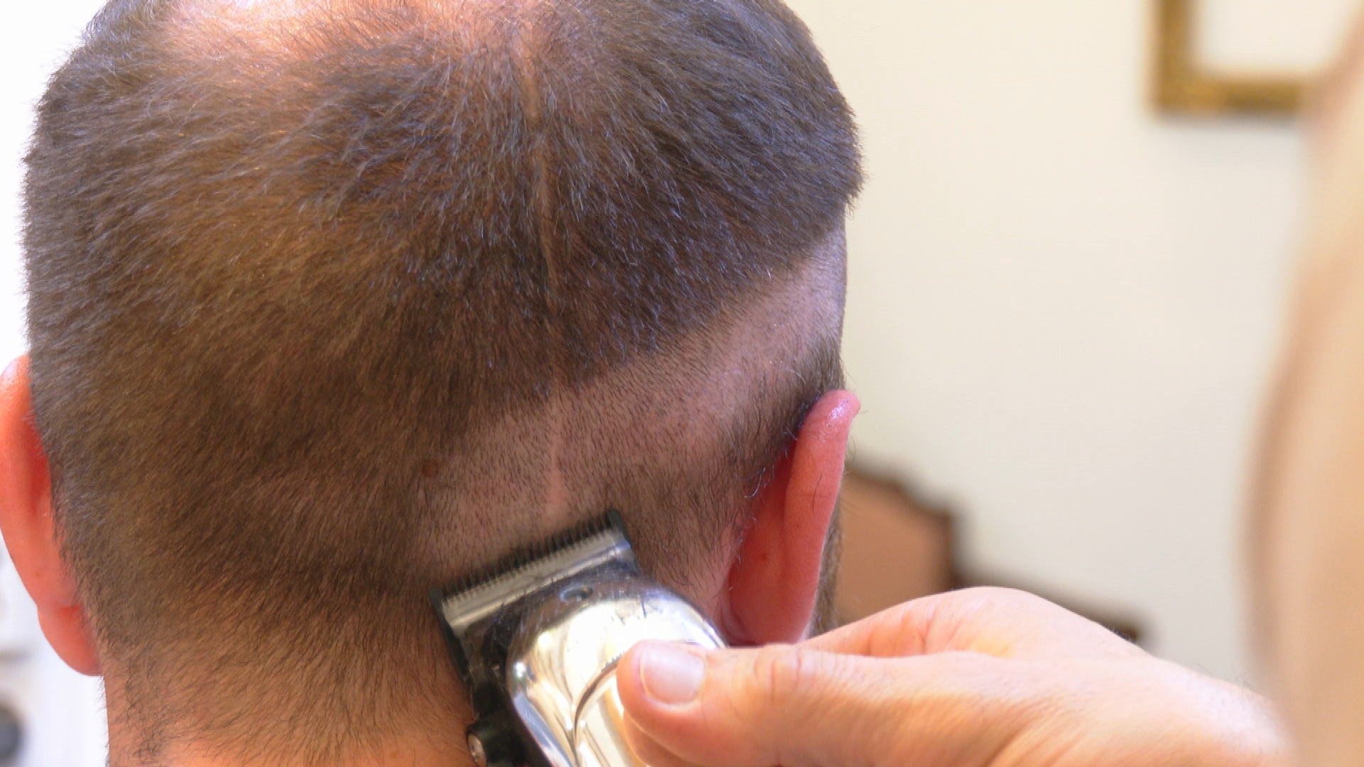 El risc del pentinat degradat: alerten per un brot de tinya