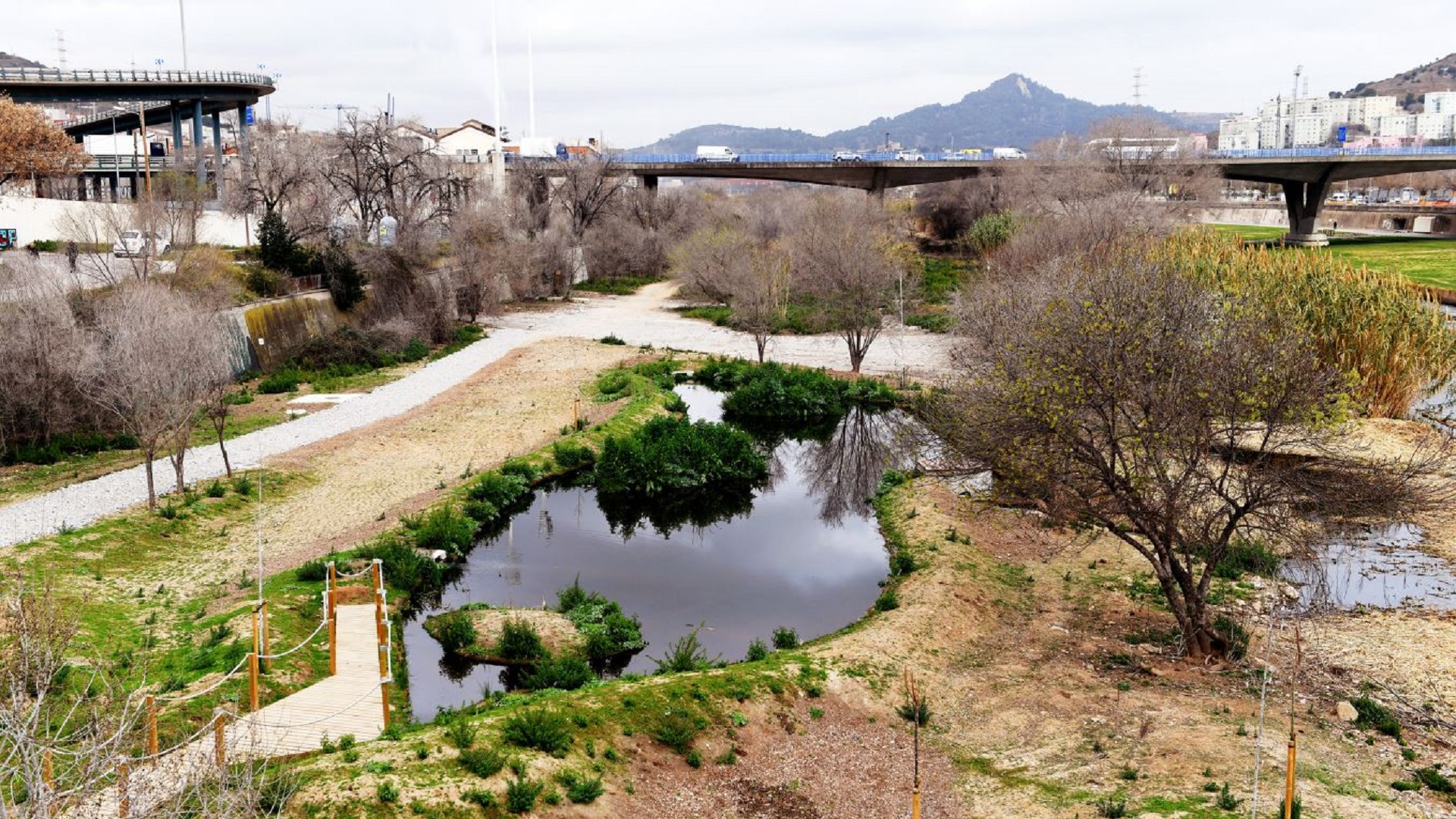 El riu Besòs estrena un refugi de la biodiversitat