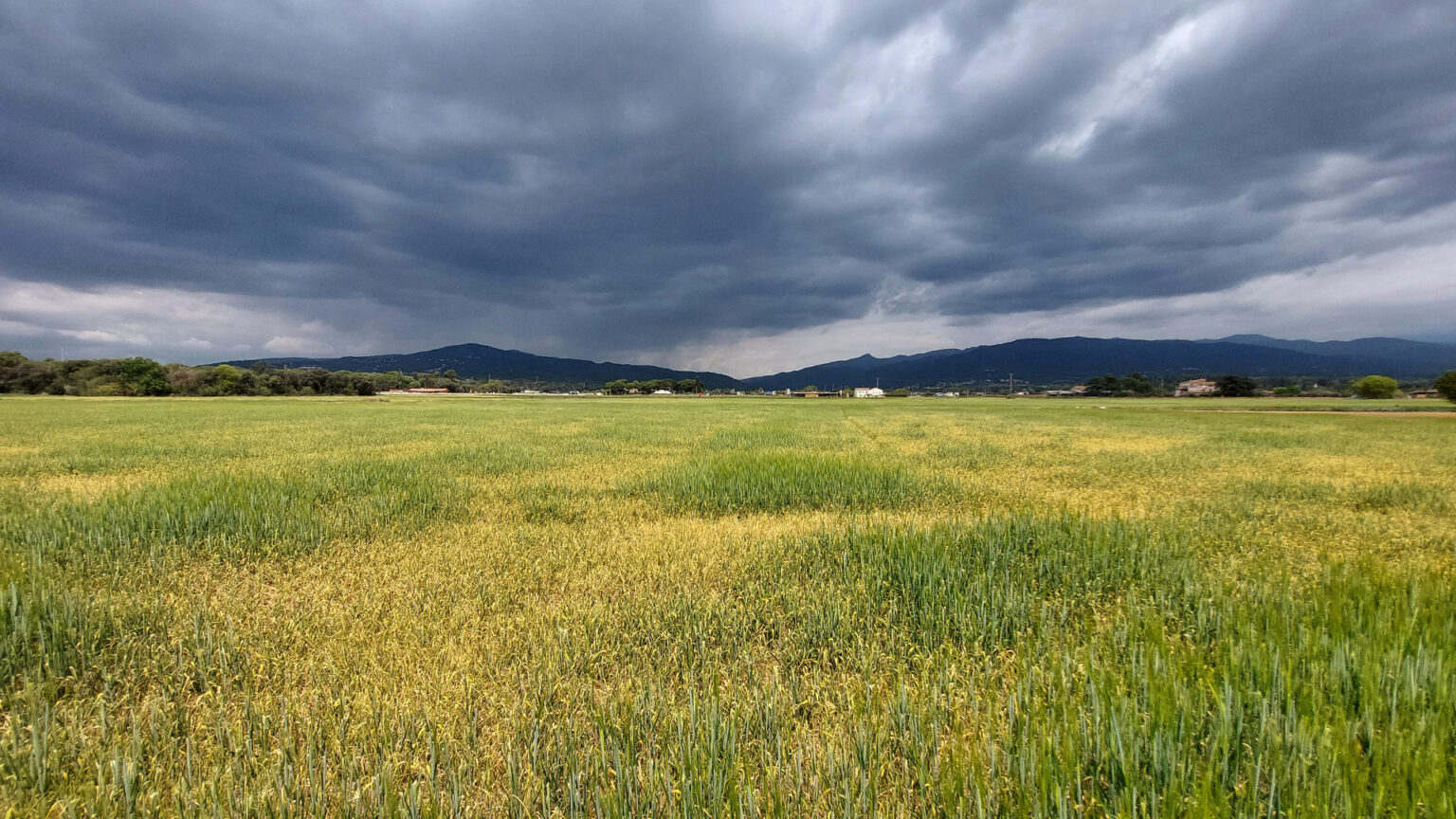 Paisatge sense verdor a vista de satèl·lit per la sequera