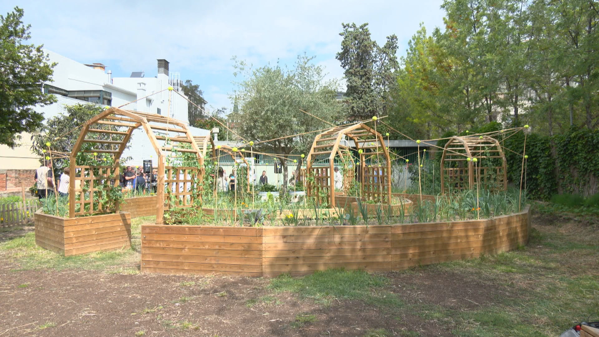Creix el Jardí Fènix, l'hort terapèutic per a drogodependents