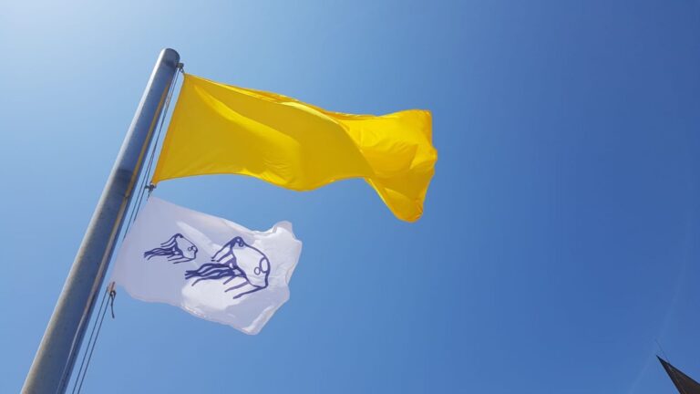 Bandera groga a totes les platges de Barcelona per meduses
