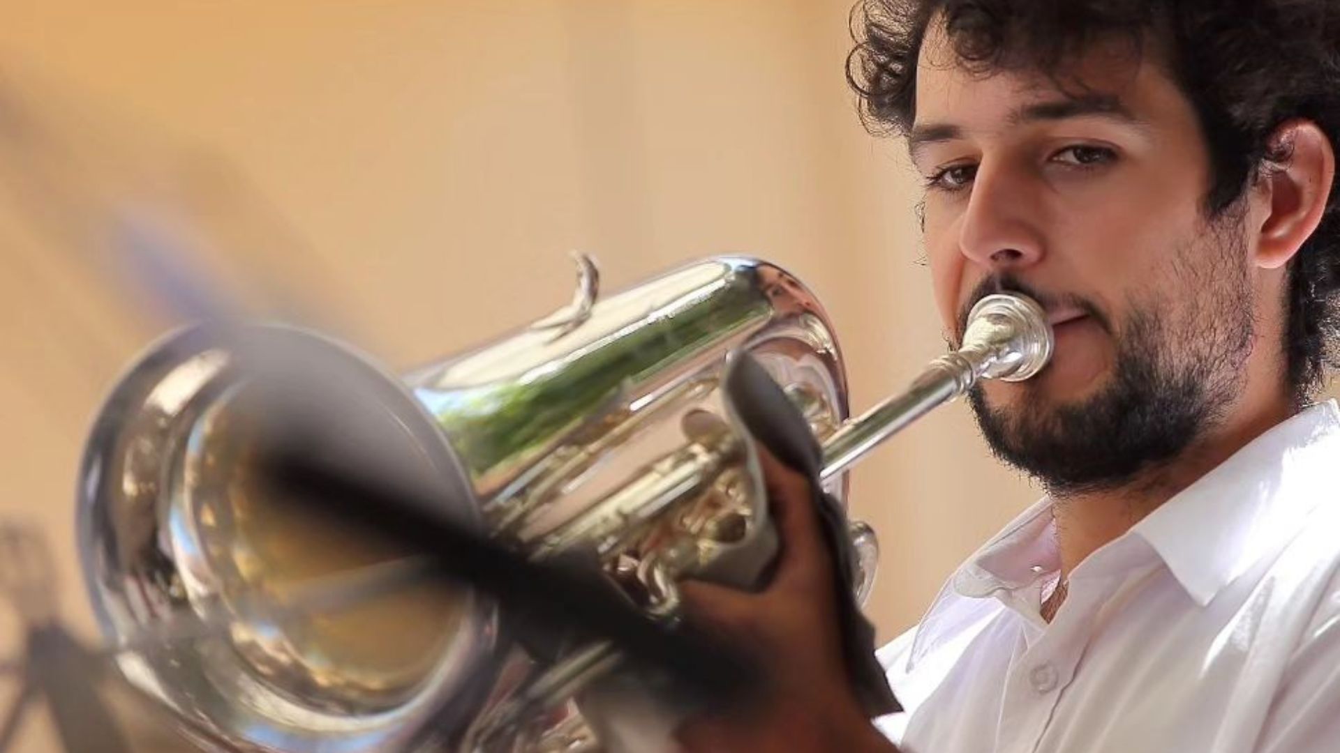 Crida per trobar un fiscorn únic robat a un tren de Rodalies