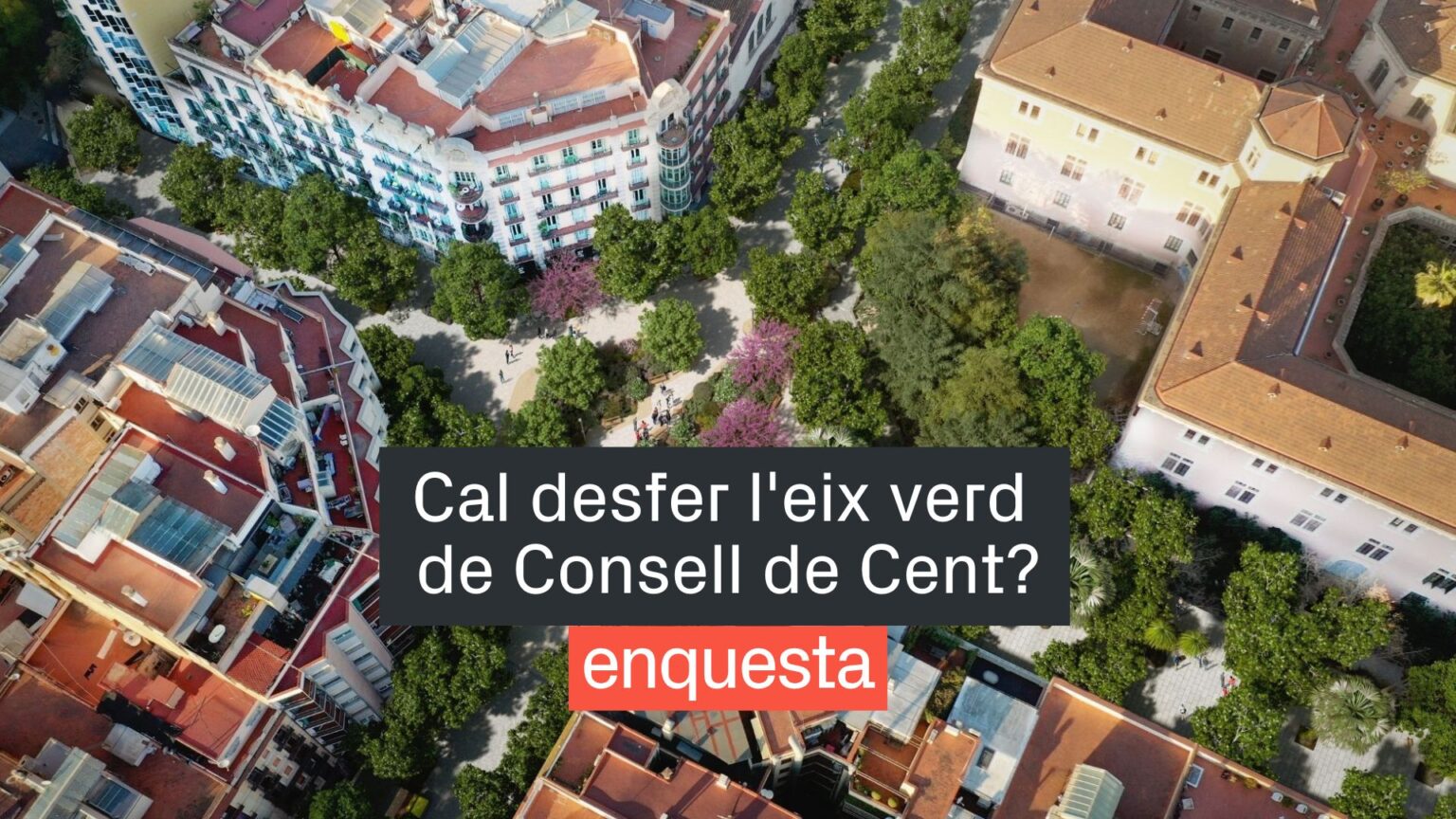 Cal revertir l'eix verd de Consell de Cent? | ENQUESTA
