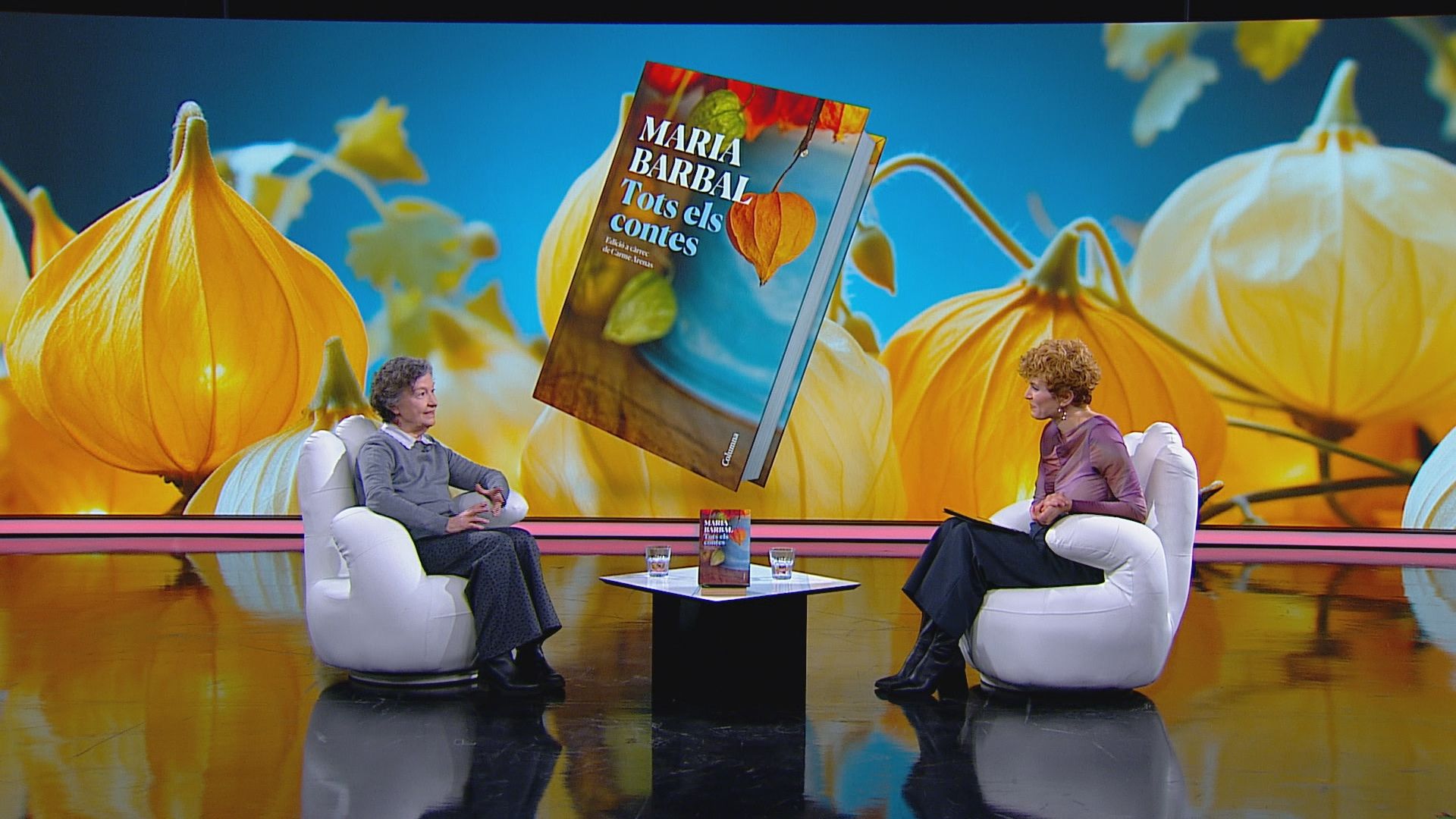 Maria Barbal, realitats amb la màxima brevetat i sensibilitat