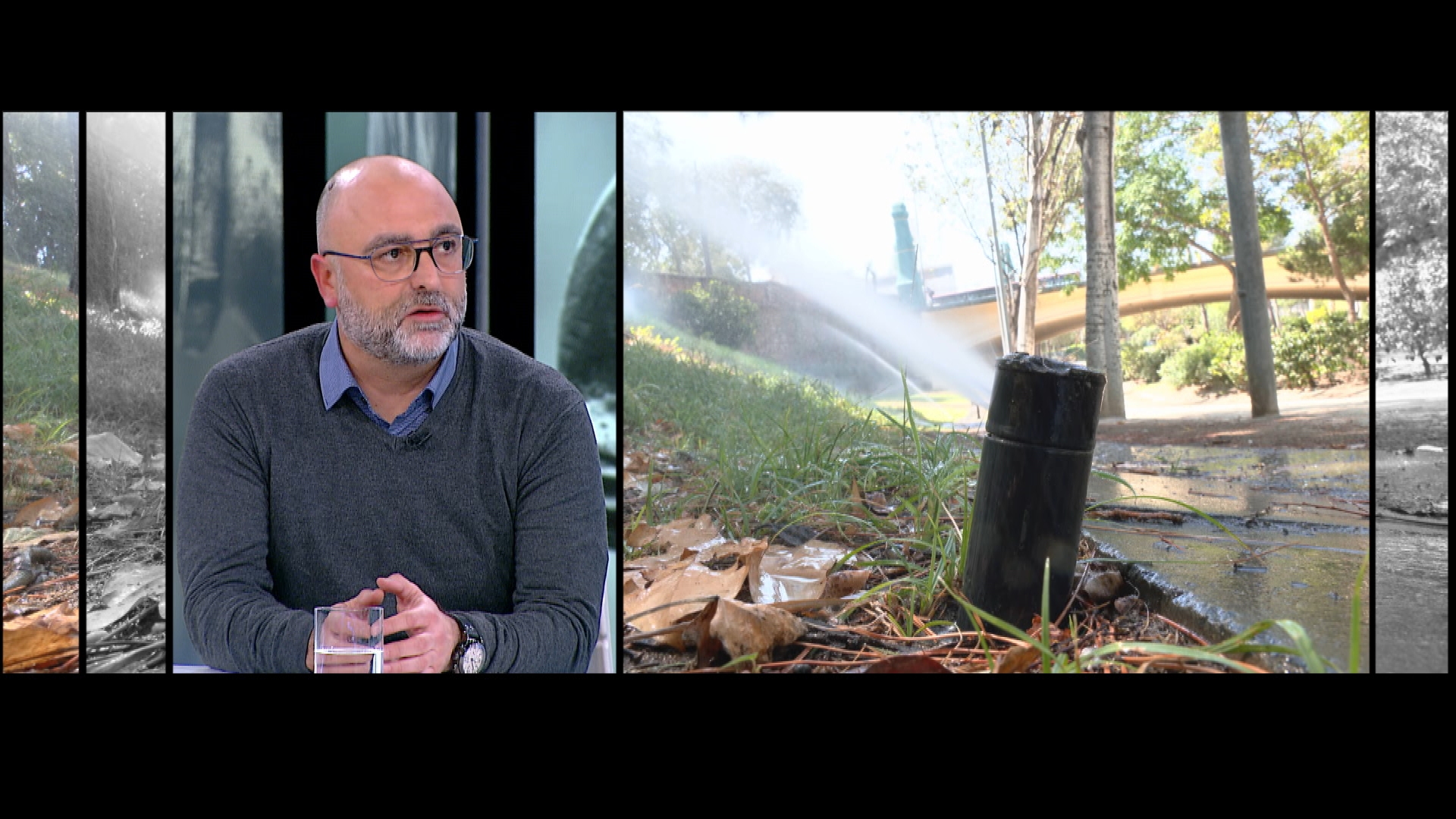 Alerta dels jardiners: "Hi ha verd que pot desaparèixer"