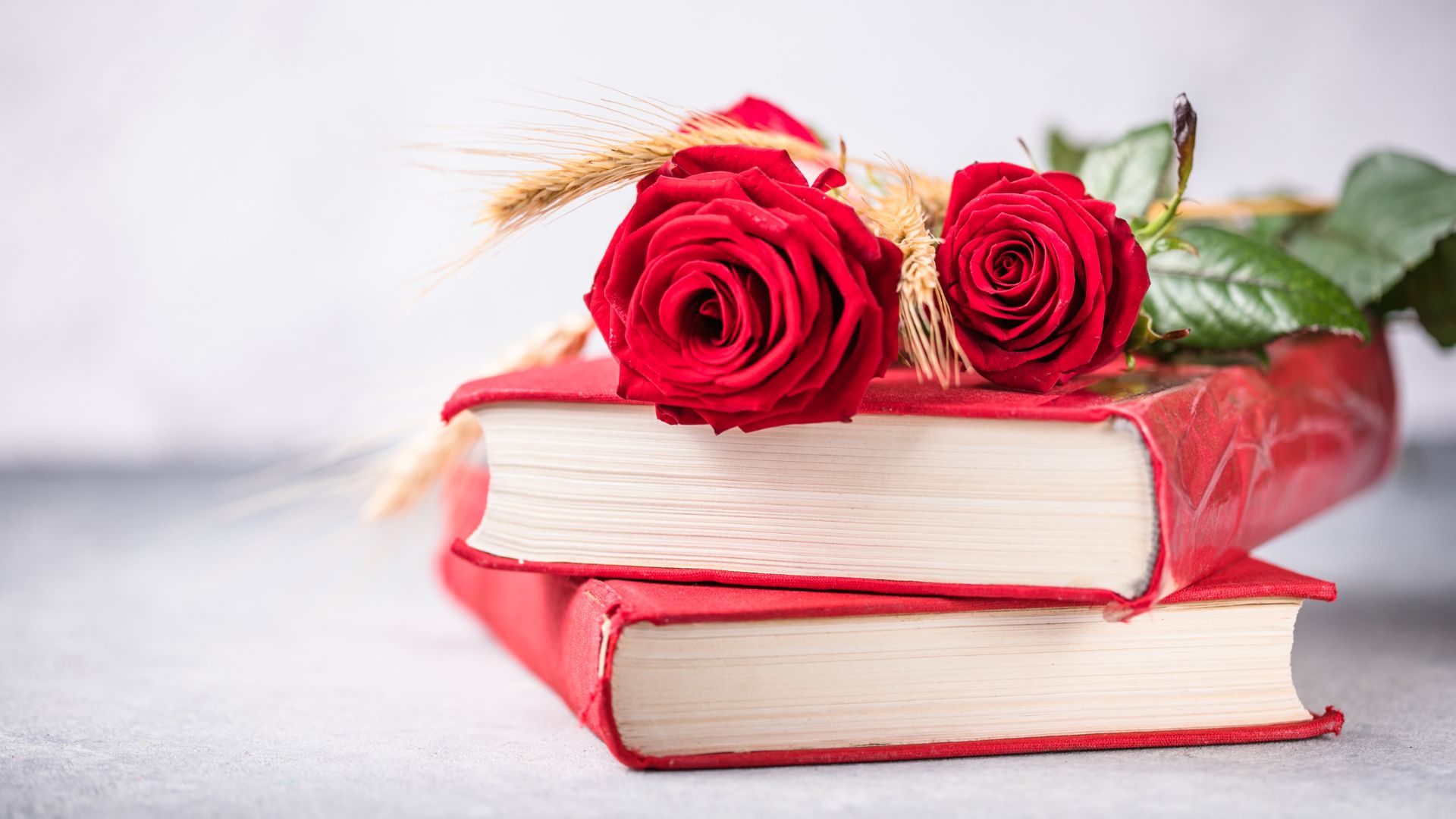 Imatges de Sant Jordi: Fotos de roses i llibres per la diada