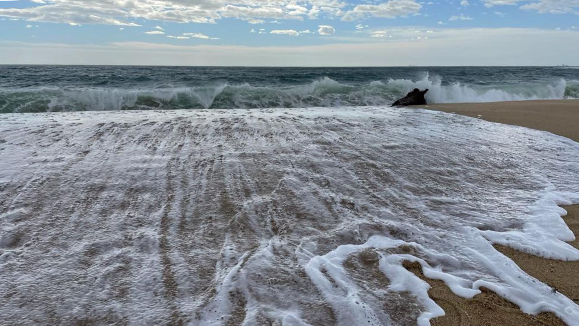 Els reptes del Decenni dels Oceans, en un 'btv directe'