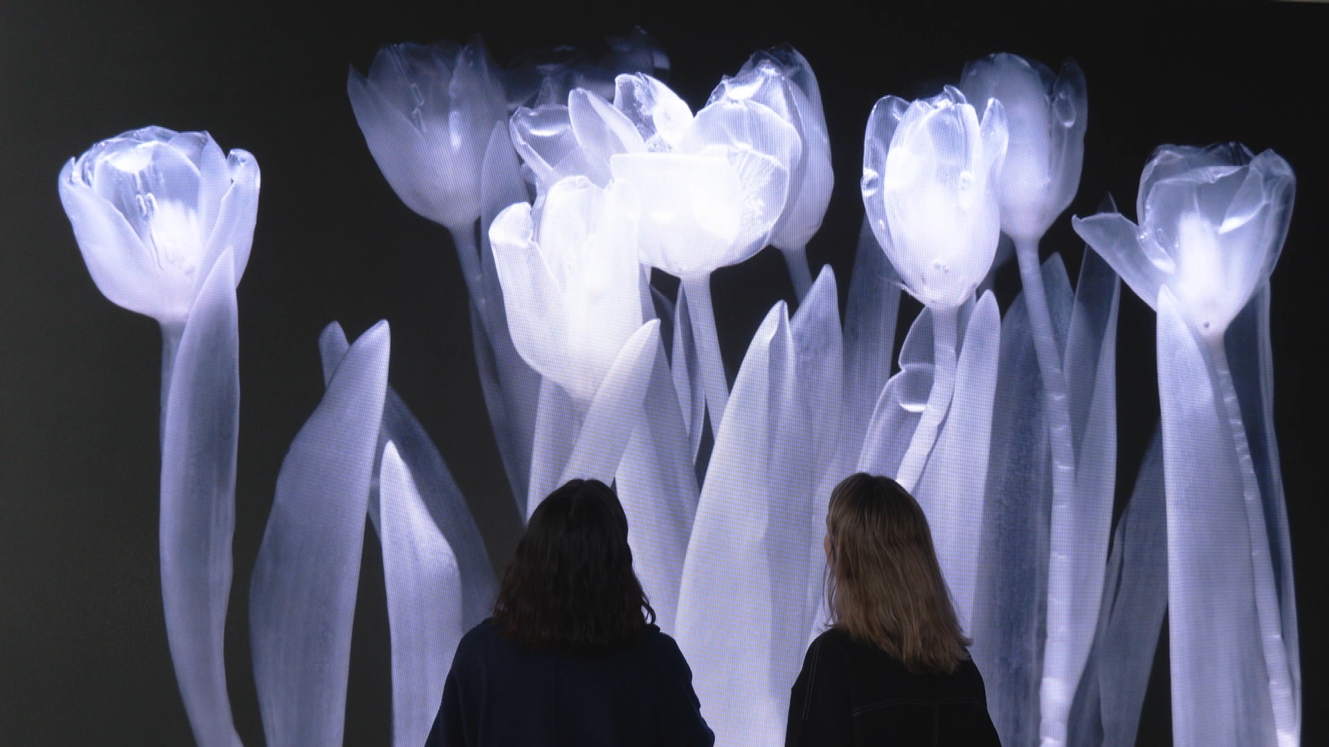 Load Gallery, la primera galeria d'art digital de Barcelona