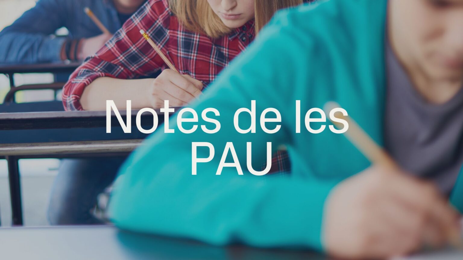 Notes de Selectivitat 2024: Resultats PAU a Catalunya, GUIA