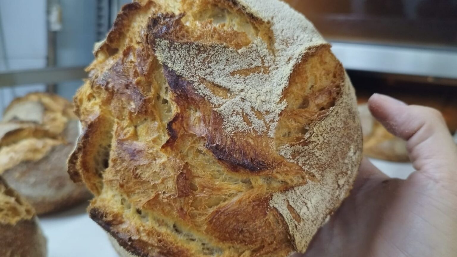 El millor pa de pagès català 2024 es fa a Montserrat Forners