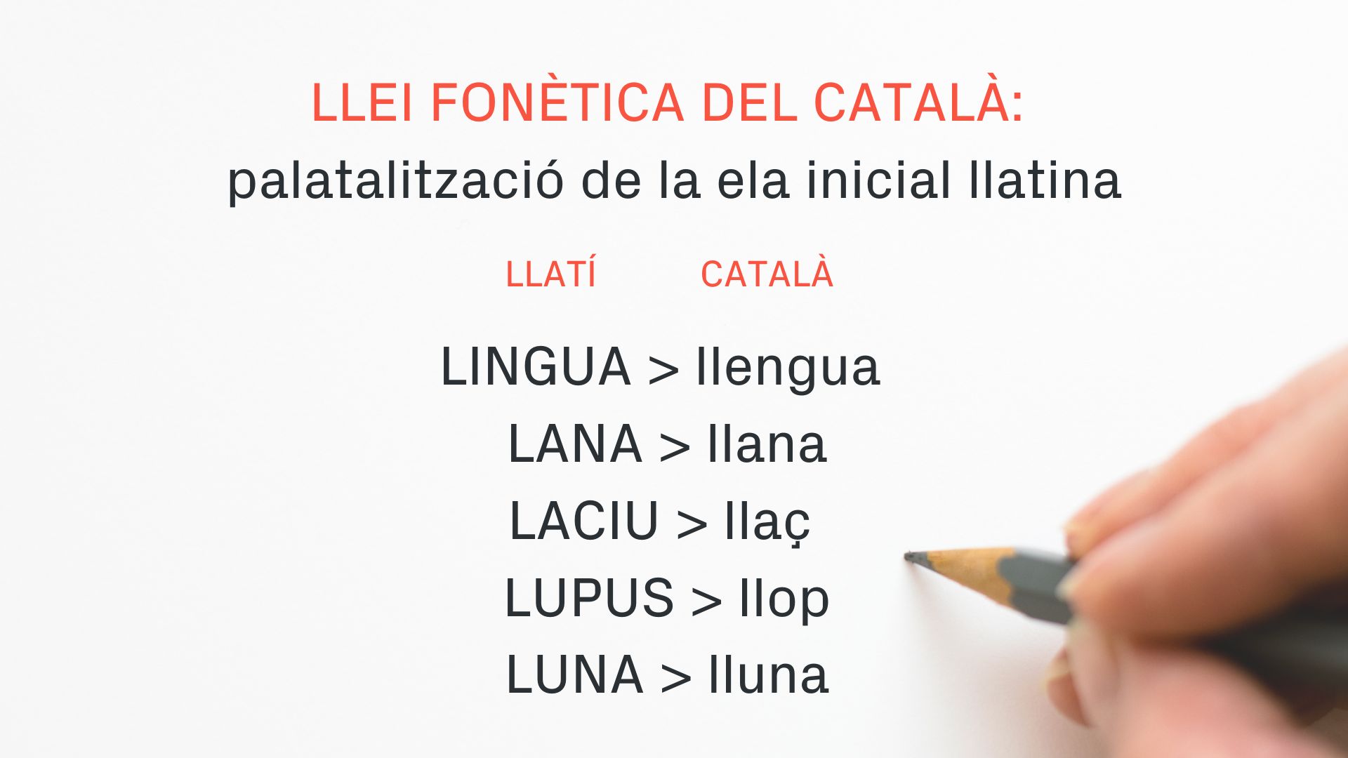 Analitzem el mot "llengua" pel Dia de la Llengua Materna