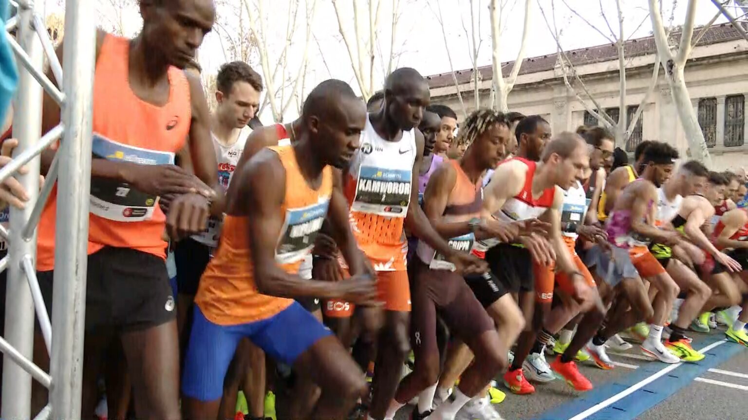 Així s'ha viscut la Mitja Marató de Barcelona 2025 a betevé