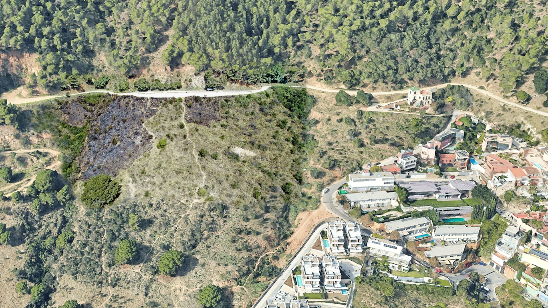 El Parc de Collserola recomana no anar al bosc a l'estiu