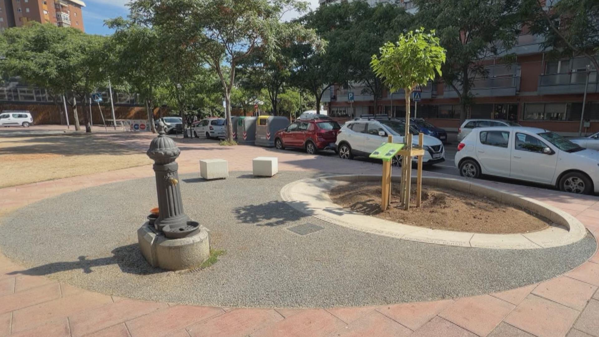 El Bon Pastor plora la desaparició de la Morera centenària